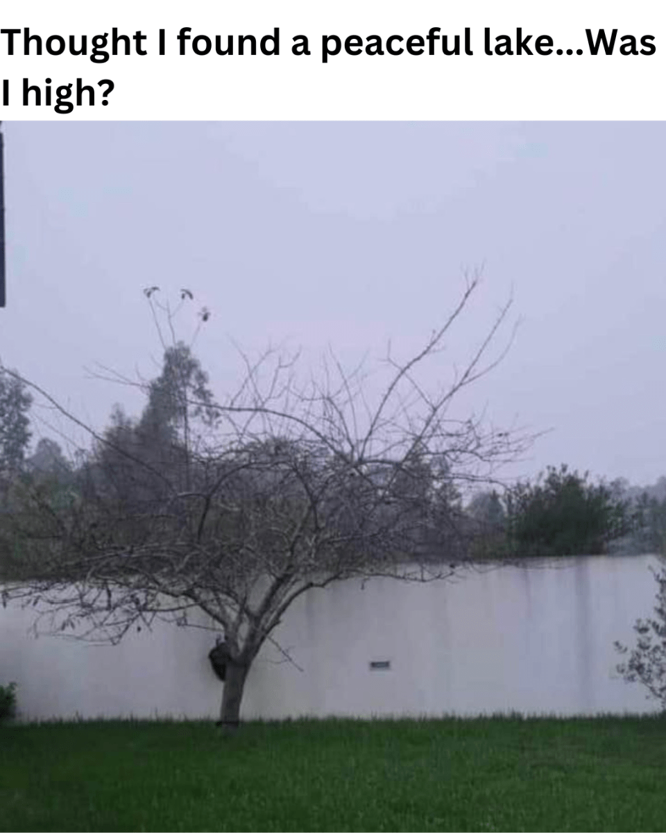 Perception Puzzles: When a Stoned Stare Turns a Wall into a Lake ...