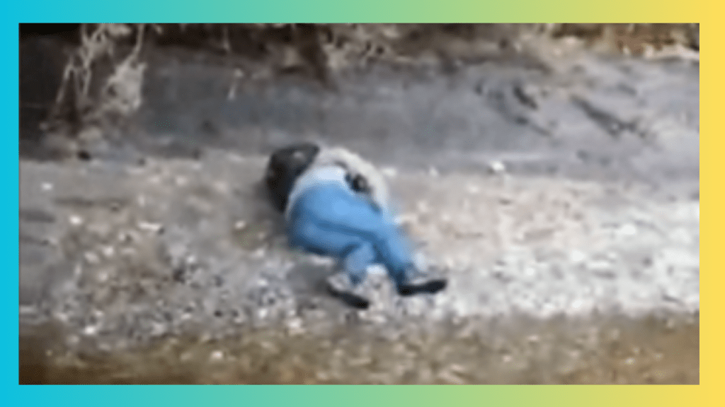 2024’s Best Fail Compilation: A Hilarious Journey Through Epic Fails ...